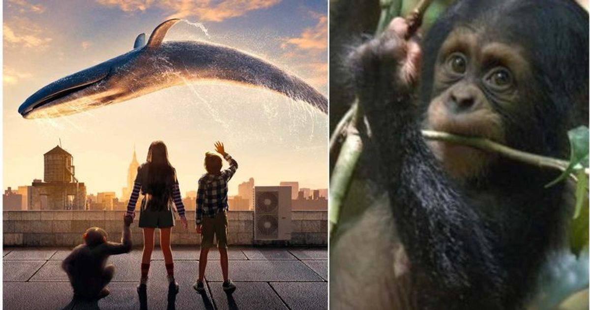 Who stars in 'Jane'? Full cast list of Apple TV+'s live-action animated ...