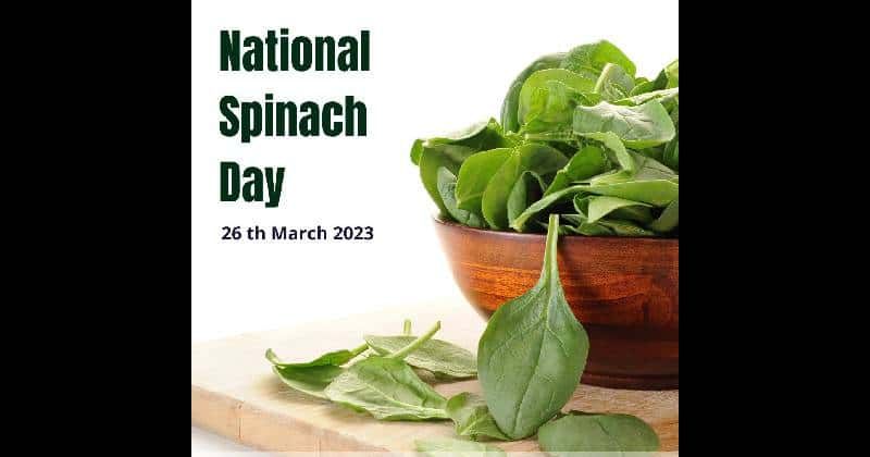 National Spinach Day: Benefits of eating leafy vegetable and 2 recipes ...