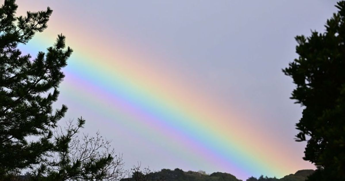 National Find A Rainbow Day: History, 5 unknown facts and ways to ...