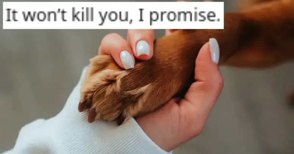 Vet makes heartfelt plea to owners who are putting pets to sleep | MEAWW