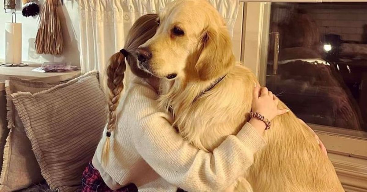 National Hug Your Dog Day: 5 facts and different ways to make pooches ...