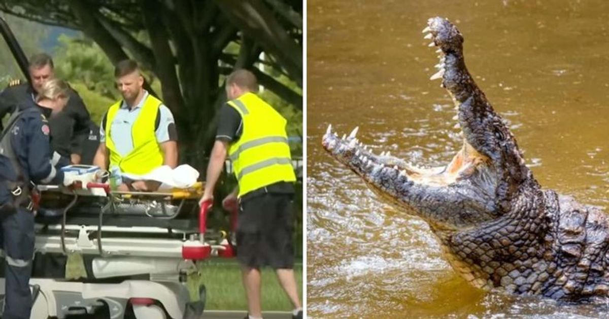 Man bravely fights off crocodile that repeatedly chomped on him before ...