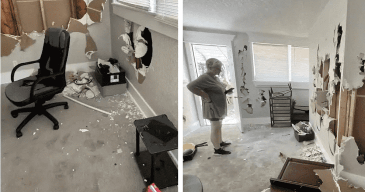 Squatters attack rental property owners with brick and human feces ...