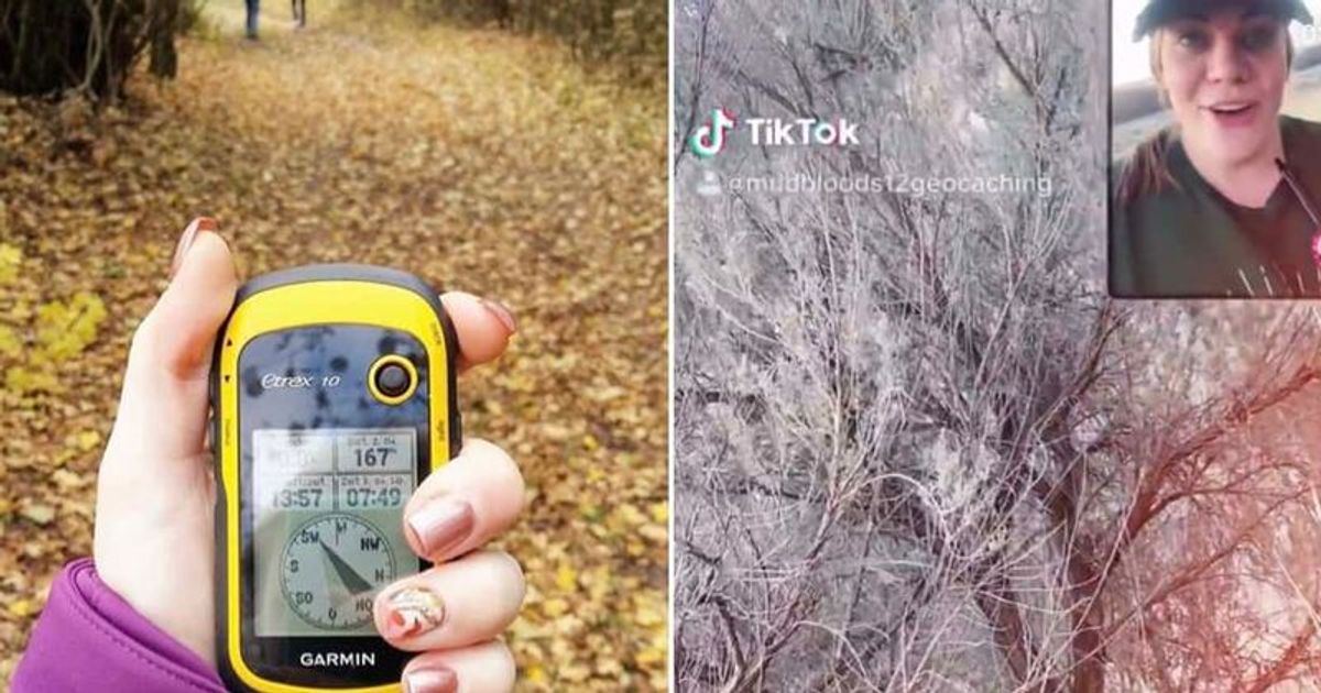 Geocaching: 5 easy steps to play the viral treasure hunt game on TikTok ...