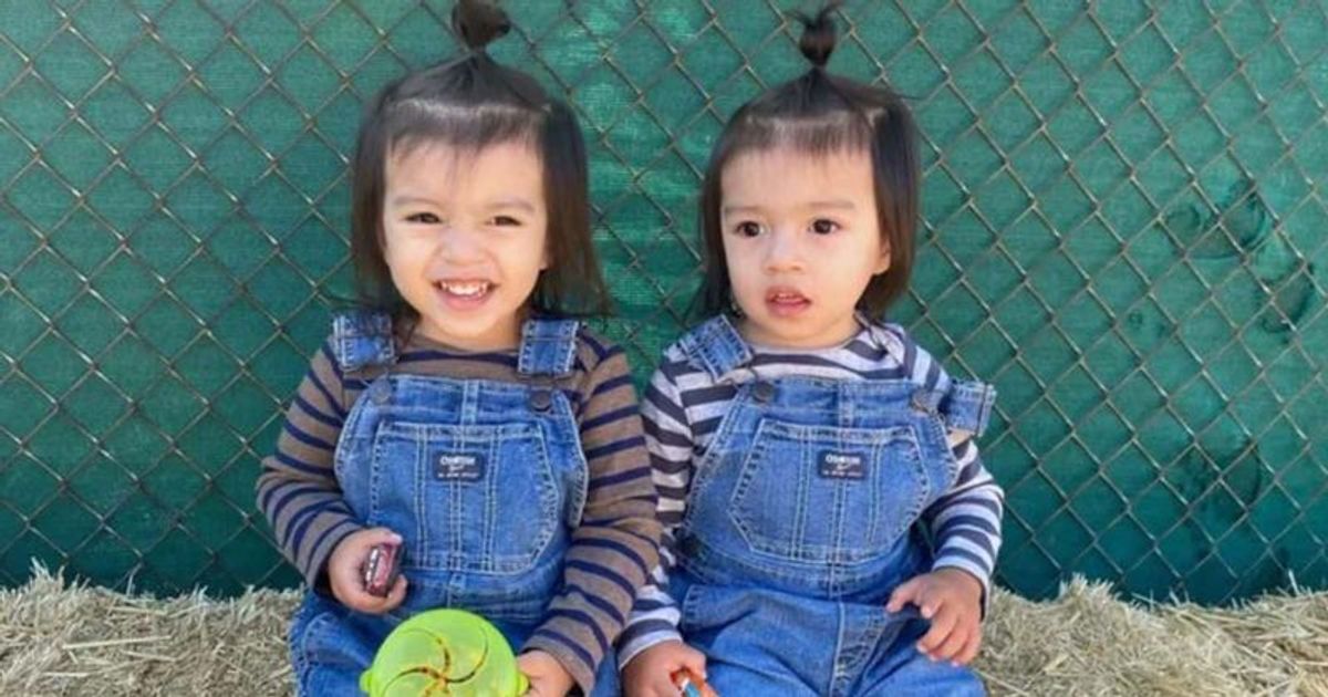The Tragic Death of Kai Bernabe: California toddler, 3, drowns as twin ...