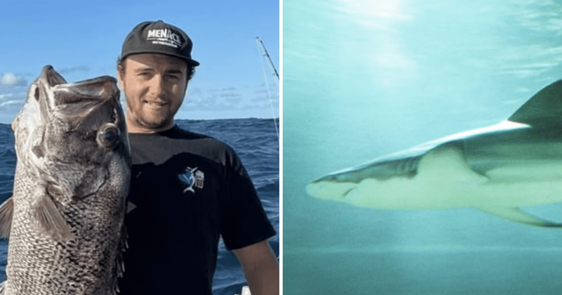 Who is Max Marsden? Surfer loses chunk of arm after being mauled by 5ft ...