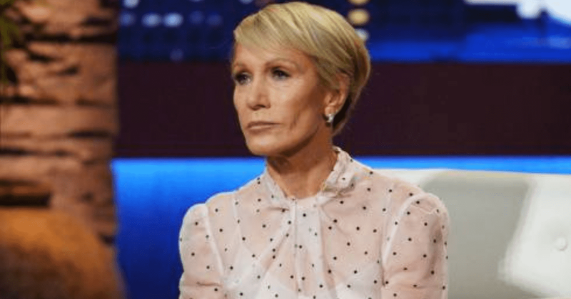 'Nothing glamorous in suffering of animals': Barbara Corcoran slammed ...