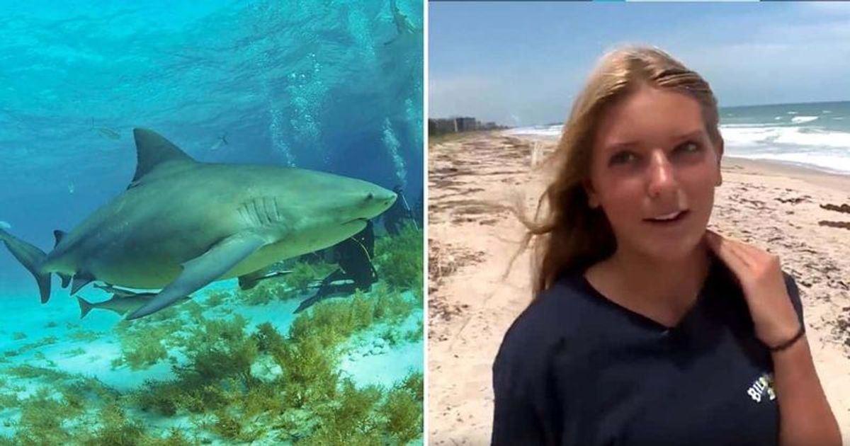 Who is Ella Reed? 13-yr-old girl sustains multiple injuries as she ...