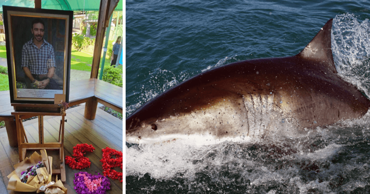 Simon Baccanello: Teacher’s body still missing after shark attack | MEAWW