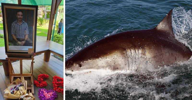 Simon Baccanello: Teacher’s body still missing after shark attack | MEAWW