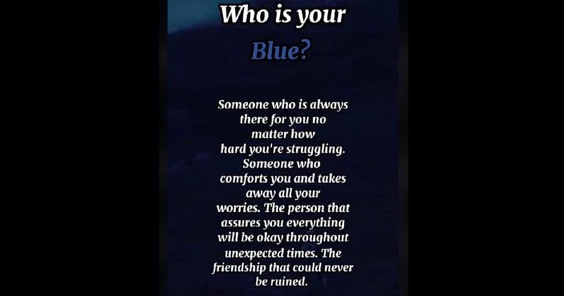 What do 'green person', 'pink person', and 'blue person' mean on TikTok ...