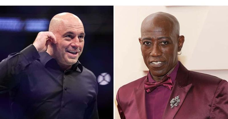 Joe Rogan: When Wesley Snipes backed out of fight with commentator, 'I ...