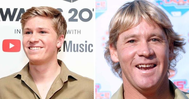 Robert Irwin gets bitten by carpet python just like his late dad Steve ...