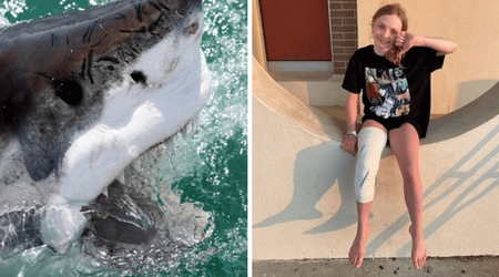 Shark Attack - News, Bio, Facts (Updated on Thu, Oct 5 2023)