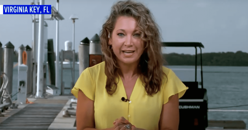 GMA’s Ginger Zee fearlessly dives into ocean to explore Florida Keys as she reports on coral ...