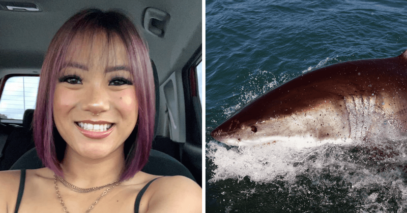Who is Natalie Branda? Florida woman, 26, attacked by shark while ...