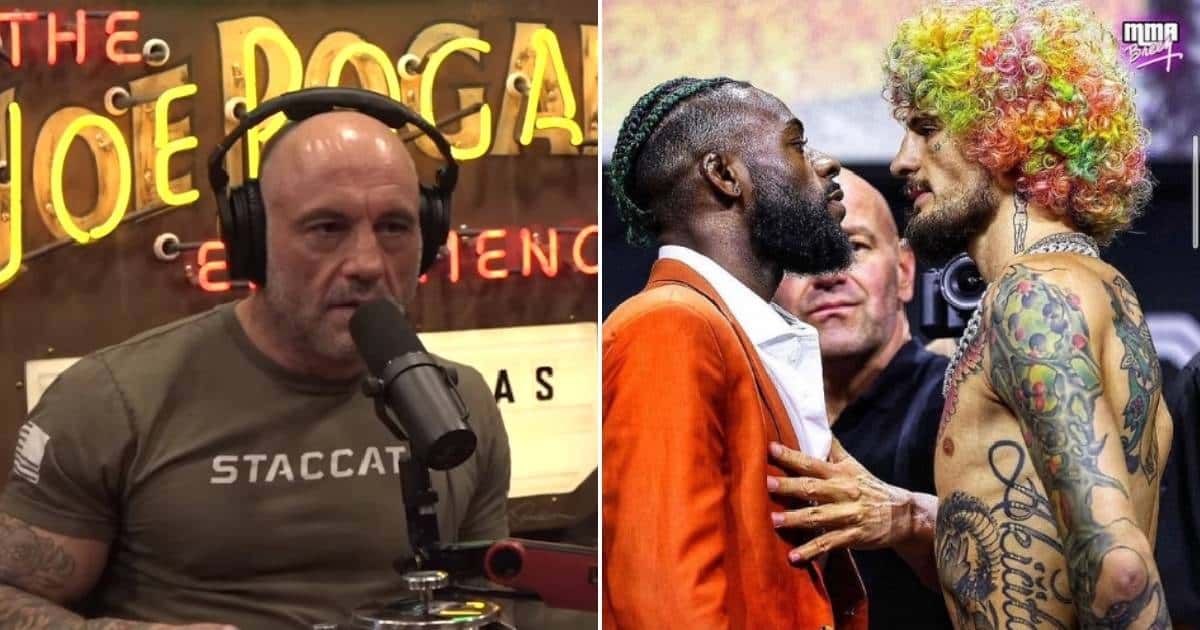 Joe Rogan discusses Sean O’Malley’s ‘impressive performance’ against ...