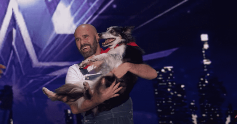 'The best pet act on AGT': Adrian Stoica's pup Hurricane wins over the ...
