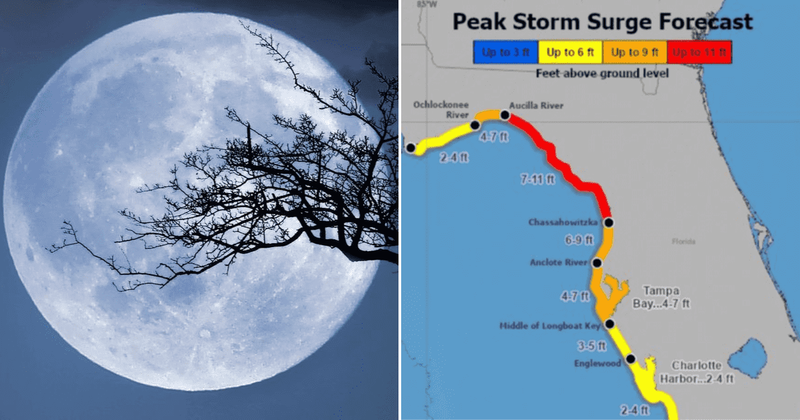 Will rare blue supermoon worsen Hurricane Idalia's impact? Experts warn ...