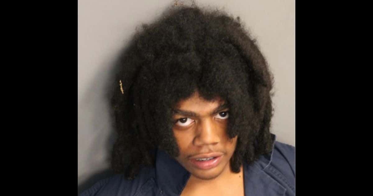 Who is Nico Brown? Orlando teen, 15, arrested for drive-by shooting ...