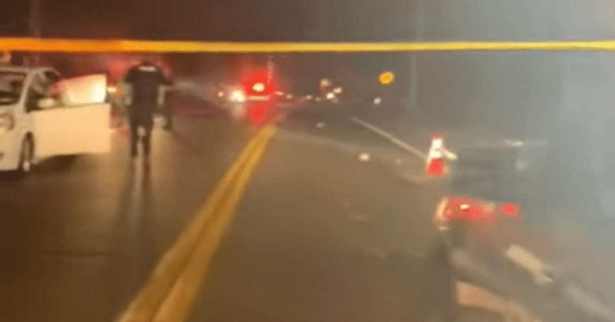 Florida man charged after killing pedestrian in Hampton Bays and ...