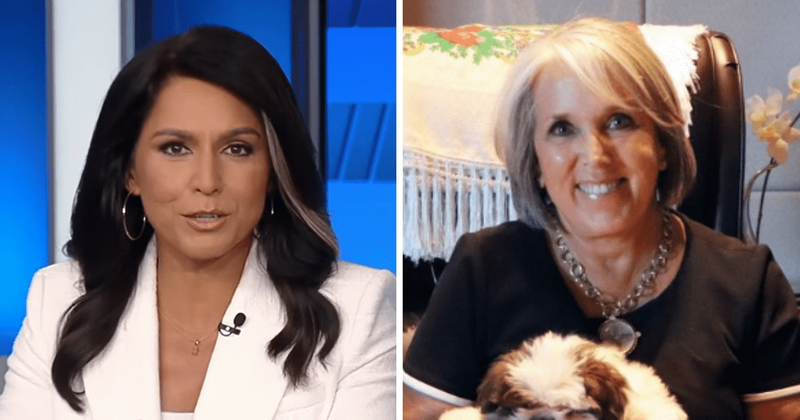 'The Five' host Tulsi Gabbard warns Michelle Grisham's gun control ...