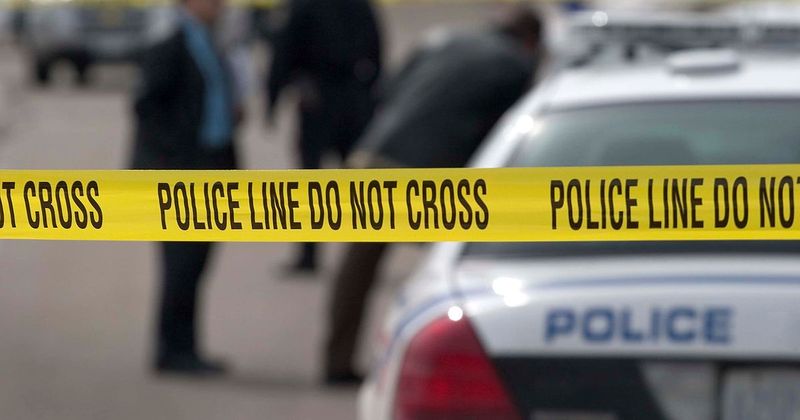 Who is Daniel R Silva? Drunk man arrested for assault, malicious ...