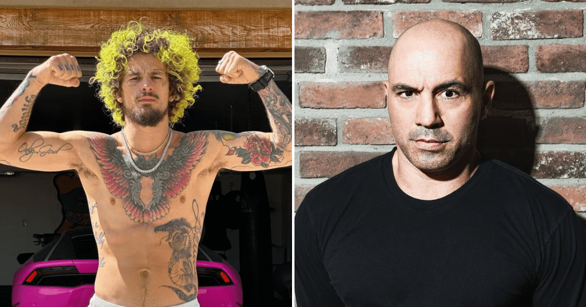 Joe Rogan commends Sean O'Malley's business approach in UFC: 'That's ...