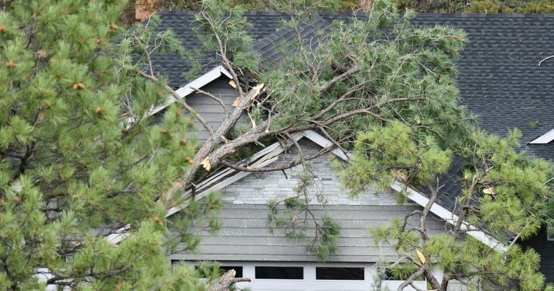 Tornado rips through Star Valley in Arizona, leaves multiple homes ...