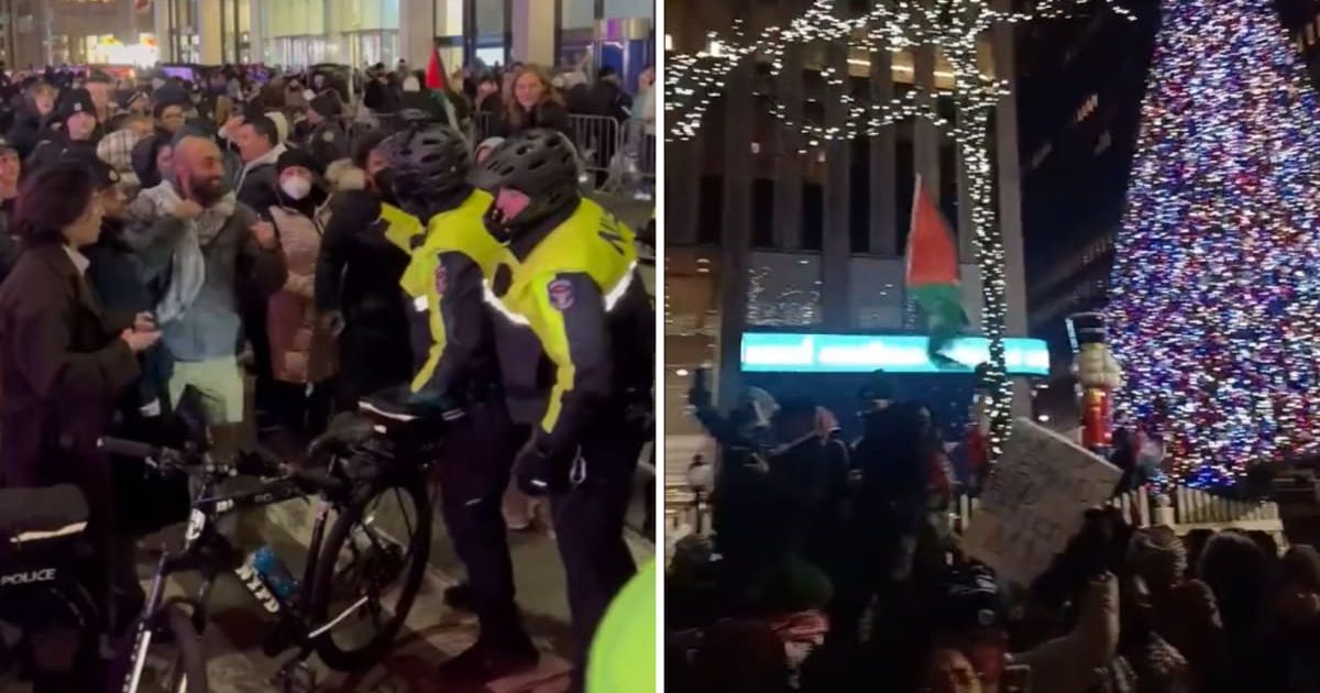 'They have zero respect for anyone': Outrage as pro-Palestinian ...